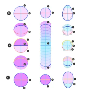 Aprender a dibujar con formas básicas - Fácil es dibujar